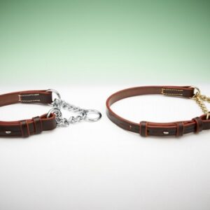 The Karenswood Adjustable Leather Half-Check Collar | Karenswood