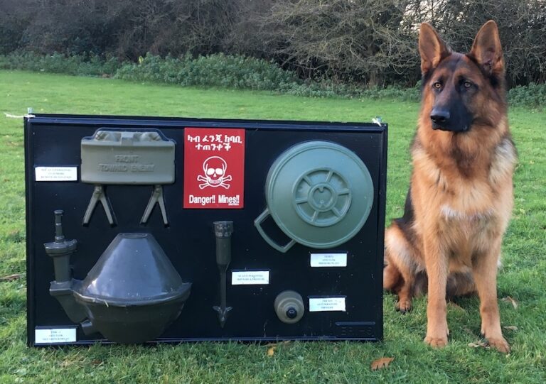 The Mine Detector Dog | Karenswood