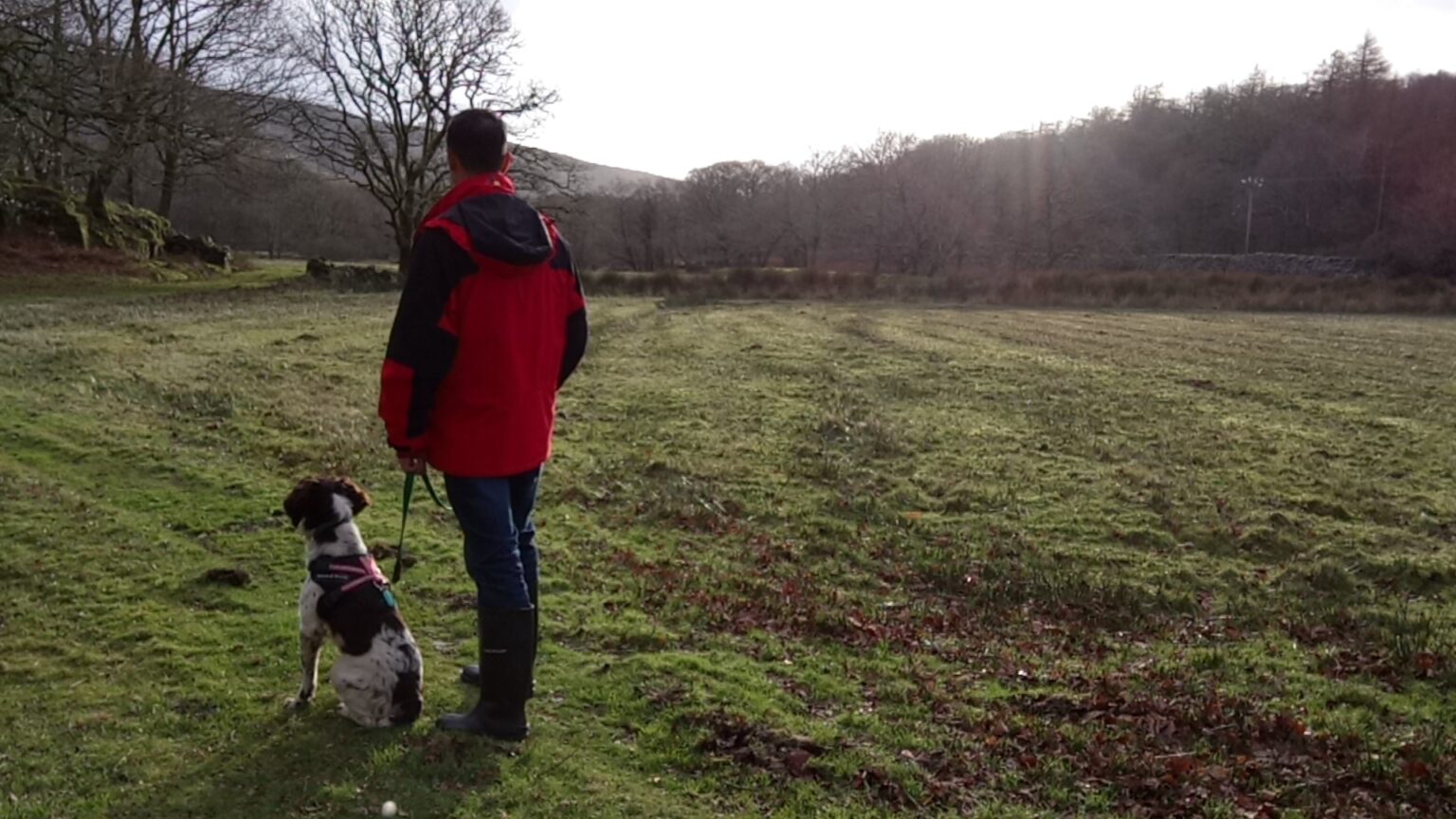 Search & Rescue Dog | Karenswood