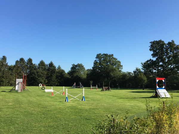 Advice for the Design & Build of Dog Training Facilities | Karenswood
