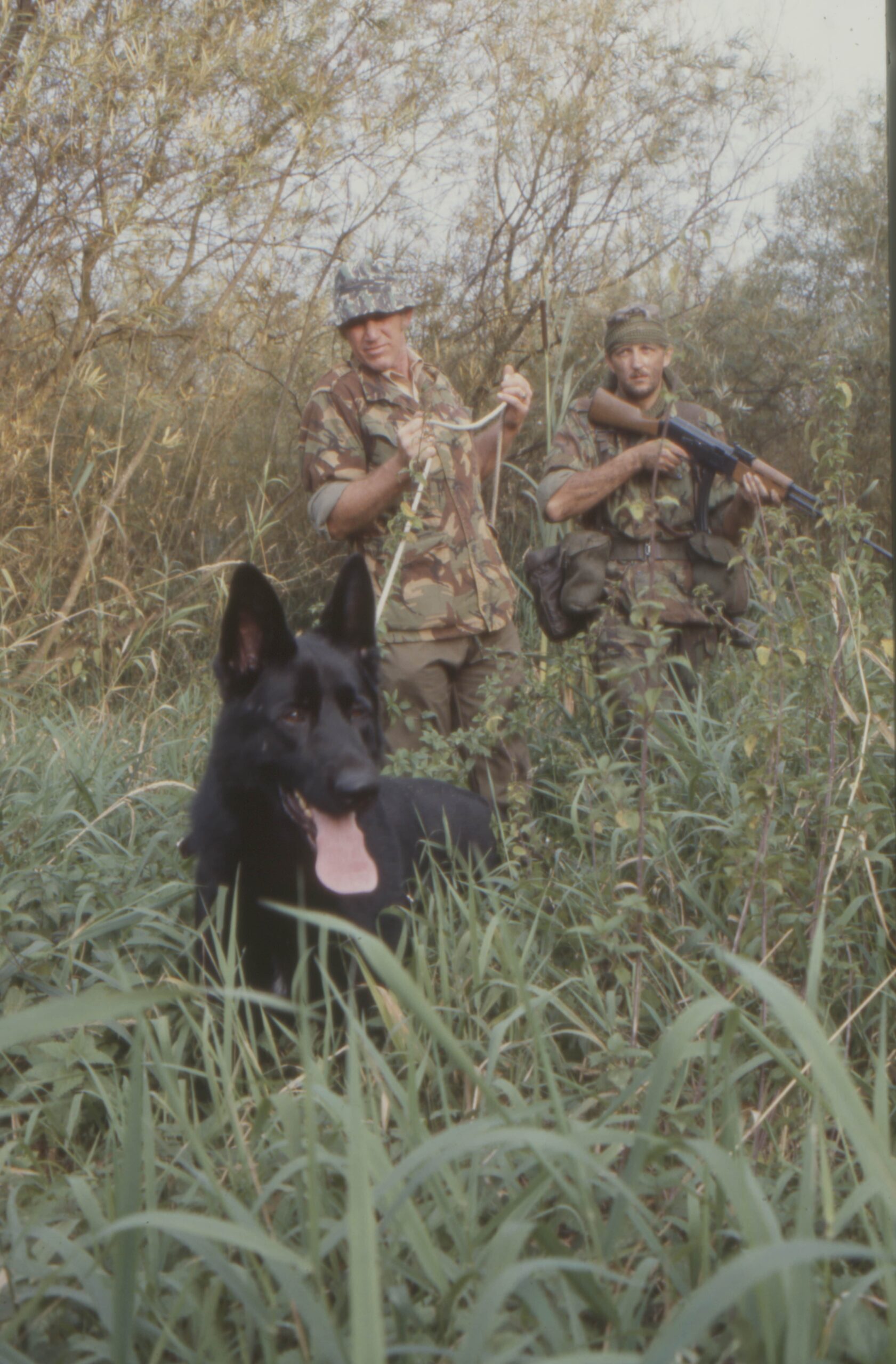 The Combat Tracker Dog | Karenswood